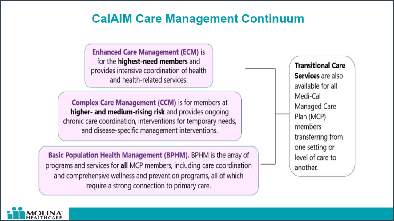 A Growth Strategy Serving “The Complex” - OPEN MINDS