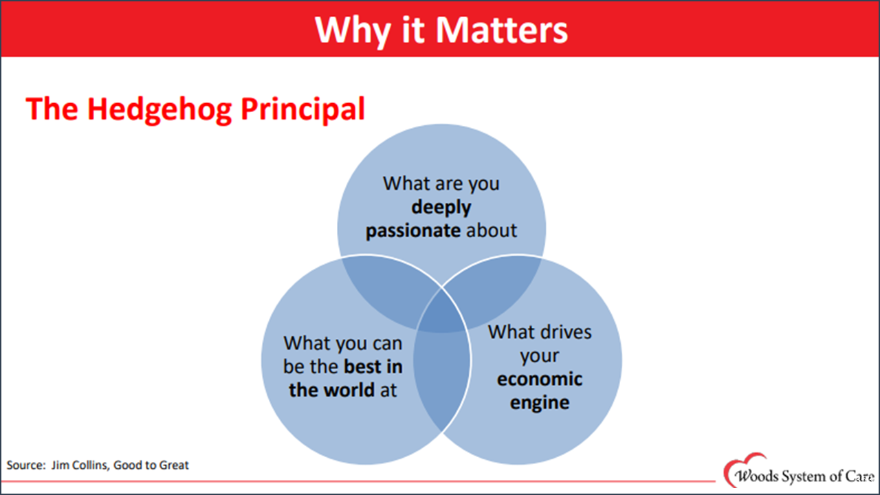 Applying The Hedgehog Concept - OPEN MINDS