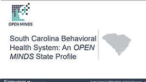 South Carolina Behavioral Health System: An OPEN MINDS State Profile ...