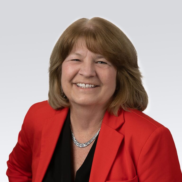 Chief Executive Officer Learning Path - The OPEN MINDS Strategy ...