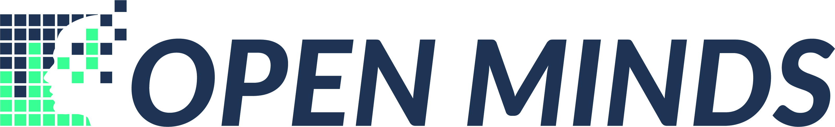 Home - The OPEN MINDS Strategy & Innovation Institute